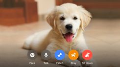 Barkio: Dog Monitor - 9 reasons why you should monitor your dog
