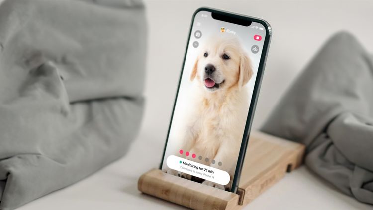 Barkio: Dog Monitor - Automatic monitoring scheduler